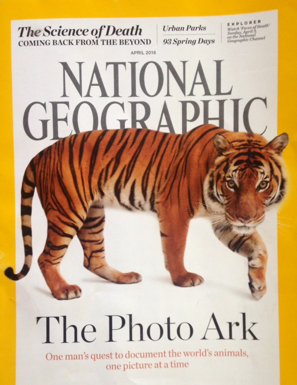 Response to National Geographic’s Article “The Crossing” | Tricia Barker